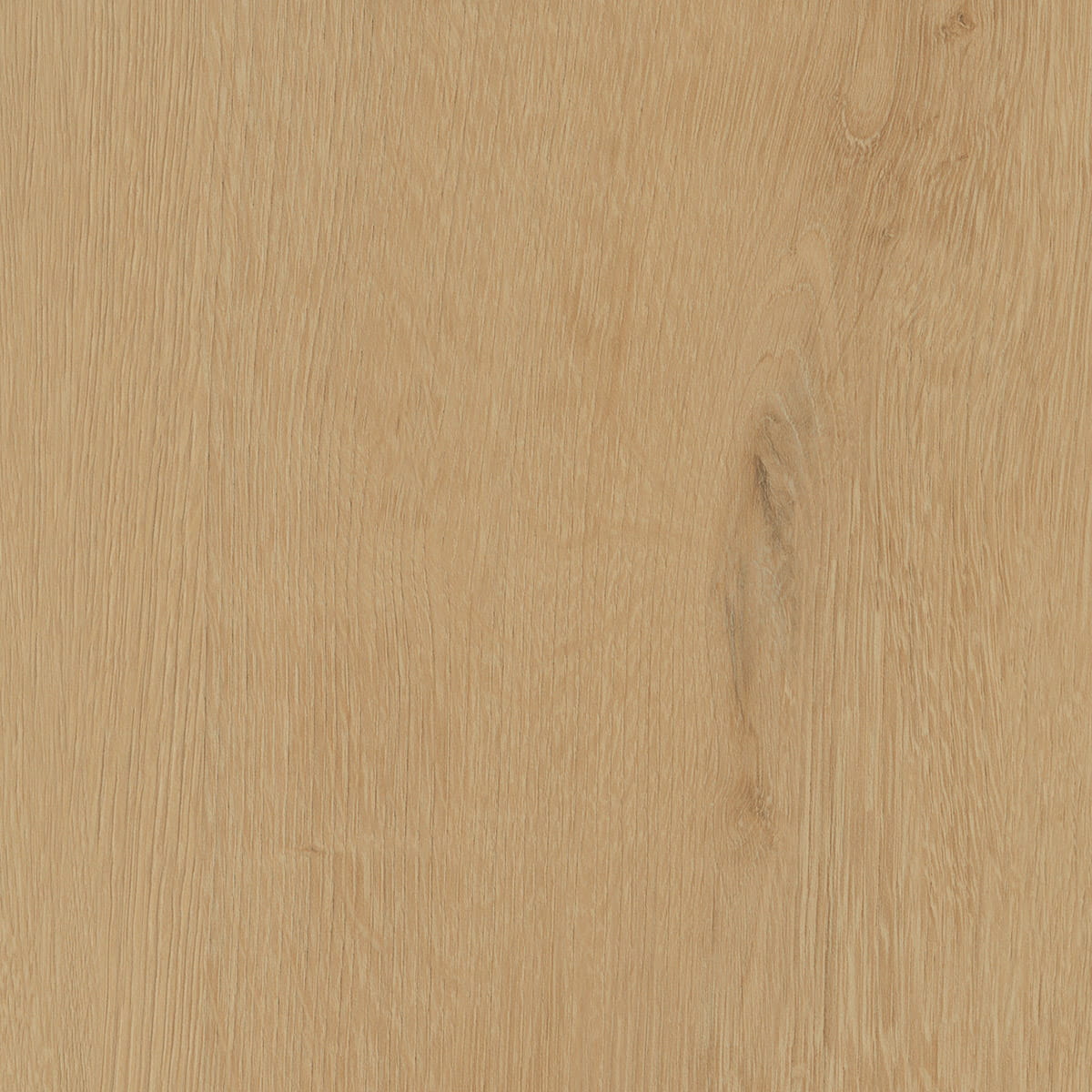 Belrose Oak - Sesame | Maximus Click | Luksusowe podłogi winylowe Invictus®